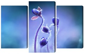 Vícedílný obraz Jemné Květiny V Makro Měřítku Nedostatek Nedostatek Plátno Canvas 120x80