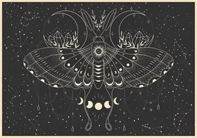 INTERDRUK Puzzle Galaxy: Měsíční motýl / 500 dílků / 47 × 33 cm