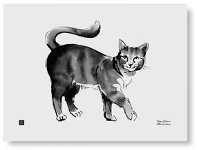 Plakát Cat 40x30