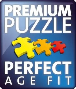 Ravensburger Disney: Na skejtu / 100 dílků  / od 6 let