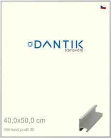DANTIK rámeček 40x50 | ALU profil 6030 Stříbrná matná (Plexi Čiré)