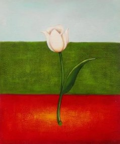 Italský tulipán - 60 x 50 cm
