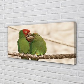Obrazy na plátně zelené papoušci 125x50 cm