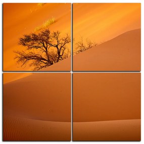 Obraz na plátně - Červené písečné duny - čtverec 3133E (100x100 cm)