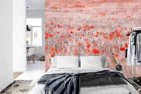 Fototapeta Poppy Field Strukturální vinyl 254x184