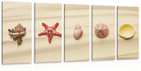 5-dílný obraz mušle na písečné pláži - 100x50 cm