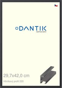 DANTIK rámeček 29,7x42 | ALU profil 6220 Černá matná (Plexi Čiré)