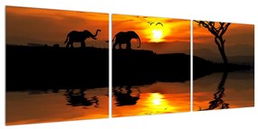 Obraz africké krajiny se slonem (120x40 cm)