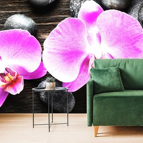 Samolepící fototapeta nádherná orchidej a kameny - 450x300 cm