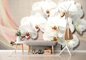 Tapeta bílá orchidej na plátně