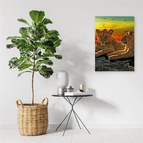 Obraz na plátně Lvi Afrika Zvířata - 60x90 cm