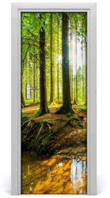 Fototapeta na dveře Strumień w lasie 75x205 cm