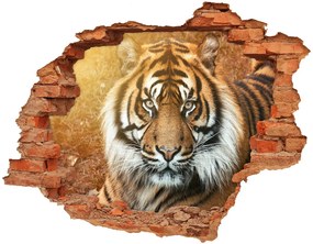 Wallmuralia Díra 3D fototapeta na stěnu Bengálský tygr 90x70 cm