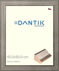 DANTIK rámeček 40x50 | Museo stříbrná (Plexi Čiré)