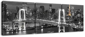 Gario Obraz na plátně Most Tokyo Bay - 3 dílný Rozměry: 90 x 30 cm