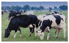 Gumová rohožka krávy 76x46cm