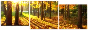 Obraz na plátně - Podzimní les - panoráma 5176E (150x50 cm)