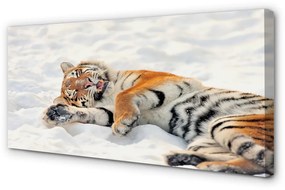 Obrazy na plátně Tiger winter 140x70 cm