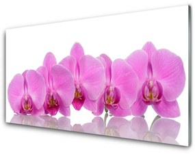 Plexisklo-obraz Růžová Orchidej Květiny 125x50 cm