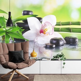 Fototapeta Krásné Orchidejové Spa Omyvatelný vlies 450x300