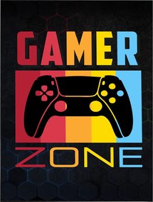 TZ Designový koberec Gamer Rozměr: 100x150 cm