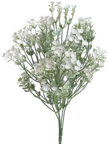 trs gypsophila - bílá