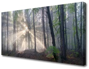 Obraz na plátně Les Příroda 120x60 cm