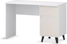 Psací stůl BORG 1d1s/120 bílý / kašmír
