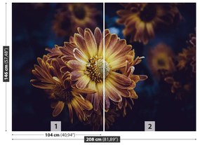 Fototapeta Žlutý květ 104x70
