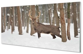 akrylový obraz Jelen zimní les 100x50 cm