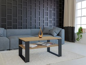 FALCO Konferenční stolek Sava 1 dub artisan/černá