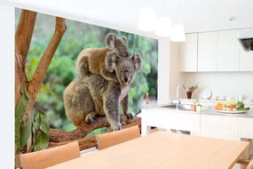 DIMEX | Samolepicí vliesová fototapeta na zeď Koala s mládětem MA-5-0626 | 375 x 250 cm | zelená, hnědá, šedá