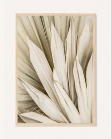 Oboustranný plakát Botanika | 30 x 42 cm | DP351485