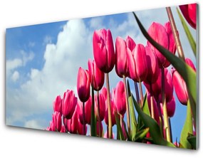 Obraz na skle Tulipán 120x60 cm