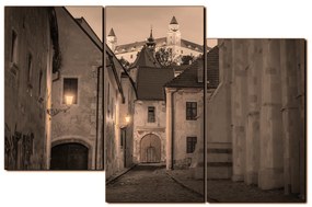 Obraz na plátně - Bratislava staré město s hradem vzadu 1265FD (105x70 cm)