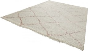 Mint Rugs - Hanse Home koberce Kusový koberec Allure 102749 creme rosa - 120x170 cm