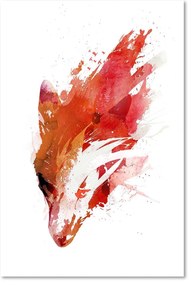 Gario Obraz na plátně Červeno-oranžová liška - Robert Farkas Rozměry: 40 x 60 cm