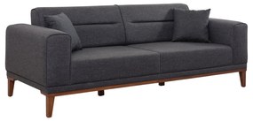 Atelier del Sofa 3-místná pohovka Liones 33 - Anthracite, Antracitová