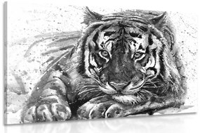 Obraz predátor zvířat v černobílém provedení - 60x40 cm