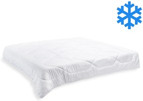 Přikrývka Thermo 200x200cm celoroční 1600g (400g/m2)