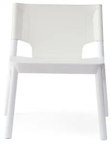 BILLIANI Dřevěná nízká židle MARIMBA 114 GALERIE - čalounění Billiani filc GALERIE - Moření Billiani Moření barevné