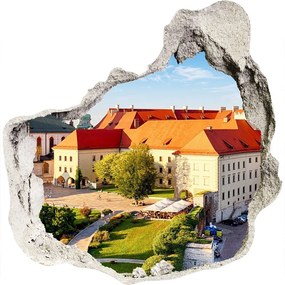 Wallmuralia Fototapeta díra na zeď 3D Krakov Polsko 75x75 cm