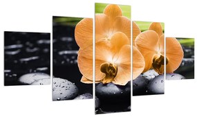 Obraz orchideje (125x70 cm)