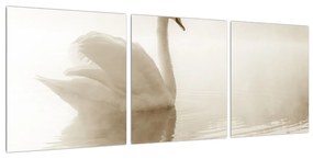 Obraz labutě (90x30 cm)