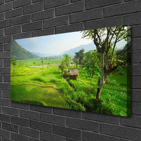Obraz na plátně Louka Příroda 125x50 cm