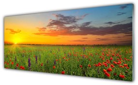 akrylový obraz Slunce Louka Květiny Příroda 125x50 cm