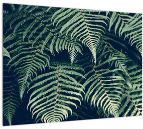 Skleněný obraz listů kapradin (70x50 cm)