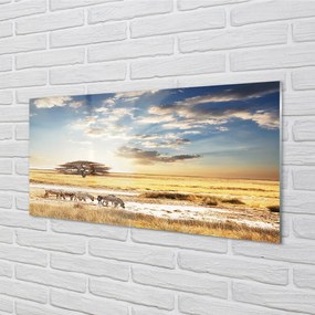 akrylový obraz Zebra mraky strom 100x50 cm