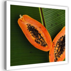 Obraz na plátně Ovocné listy papáji - 60x60 cm