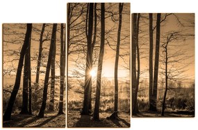 Obraz na plátně - Podzimní ráno v lese 1251FD (90x60 cm)